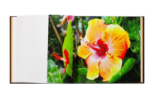 Lost and Found - Brian Sergio | moom bookshop - art books and magazines